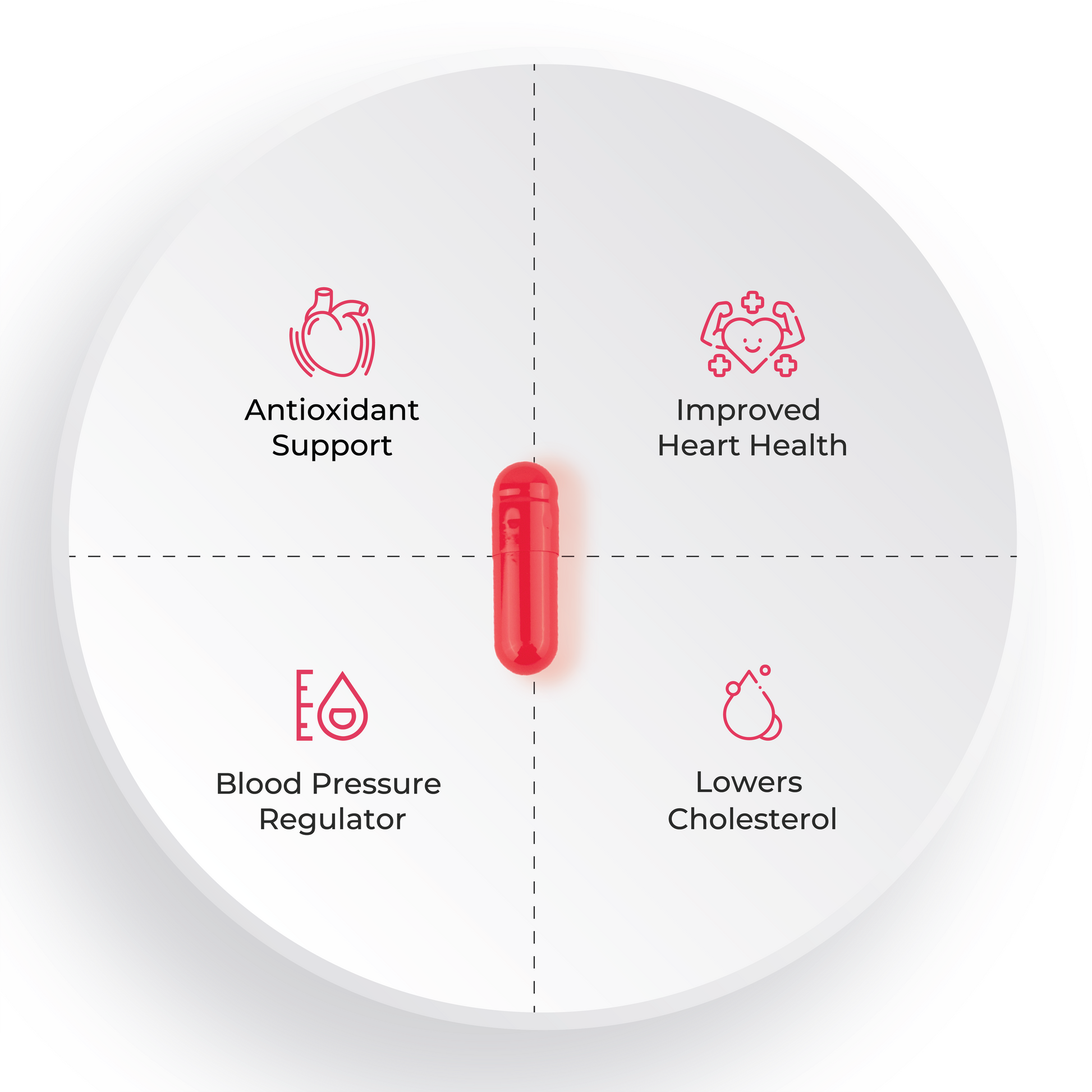 CoQ10- Power Up Your Heart – Secondaid Healthcare Pvt.Ltd.